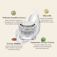 Restoring Wrinkle Treatment Face Cream – Vegan, Hypoallergenic, Gluten ...